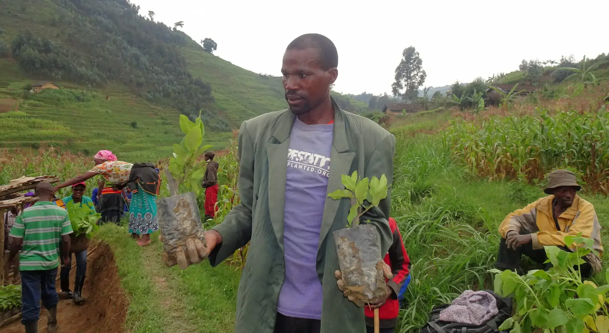ARCOS' Tree-mendous Efforts to Restore Rwanda's Ecosystem | AFR100